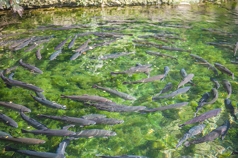 Weekend Tour Ramstein 19-20 October Tour – Mosa Ebike Tours